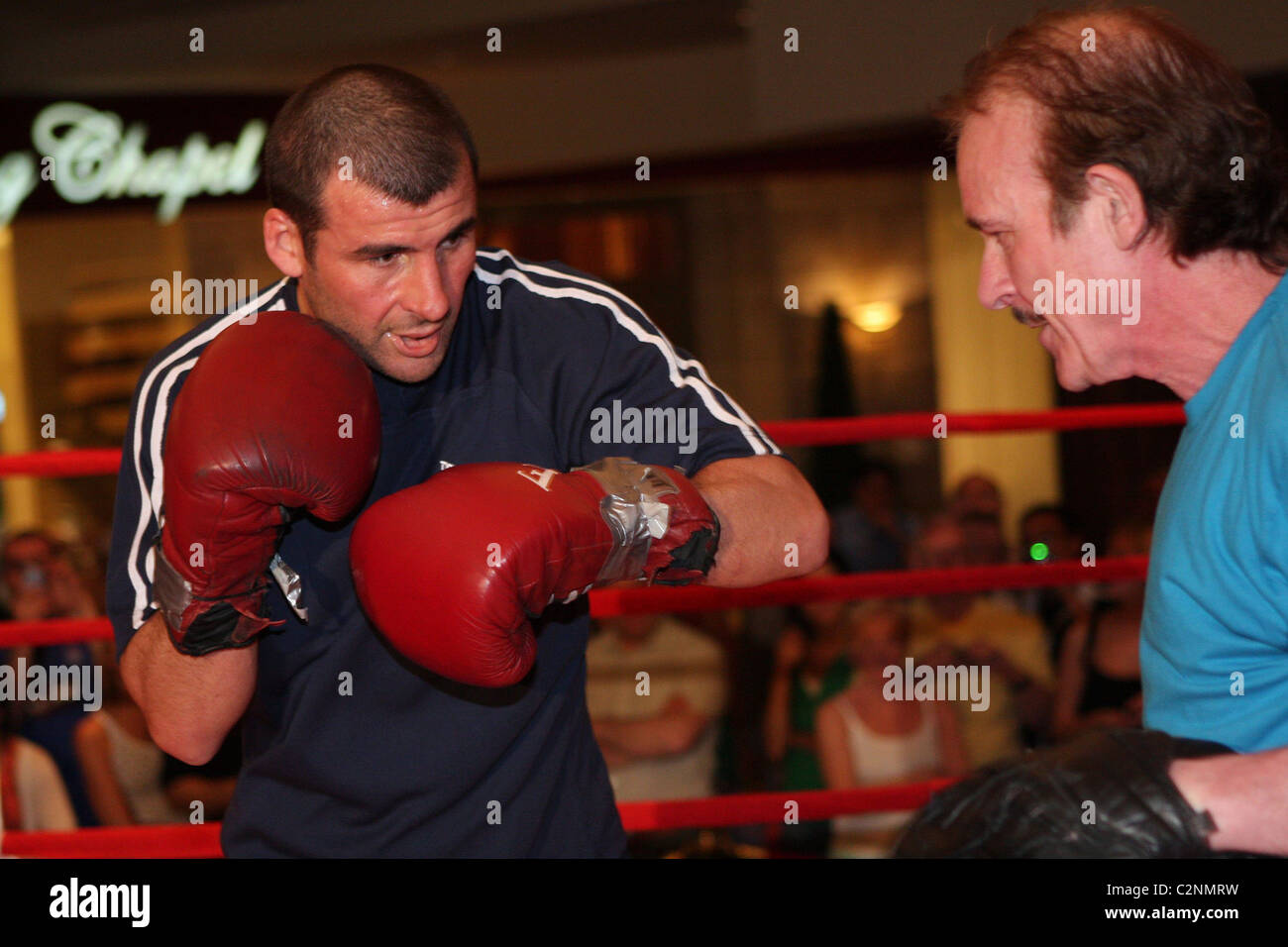 Welsh boxer hi-res stock photography and images - Alamy
