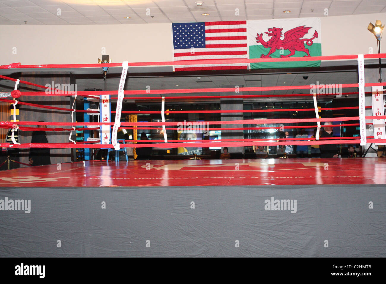Welsh boxer hi-res stock photography and images - Alamy