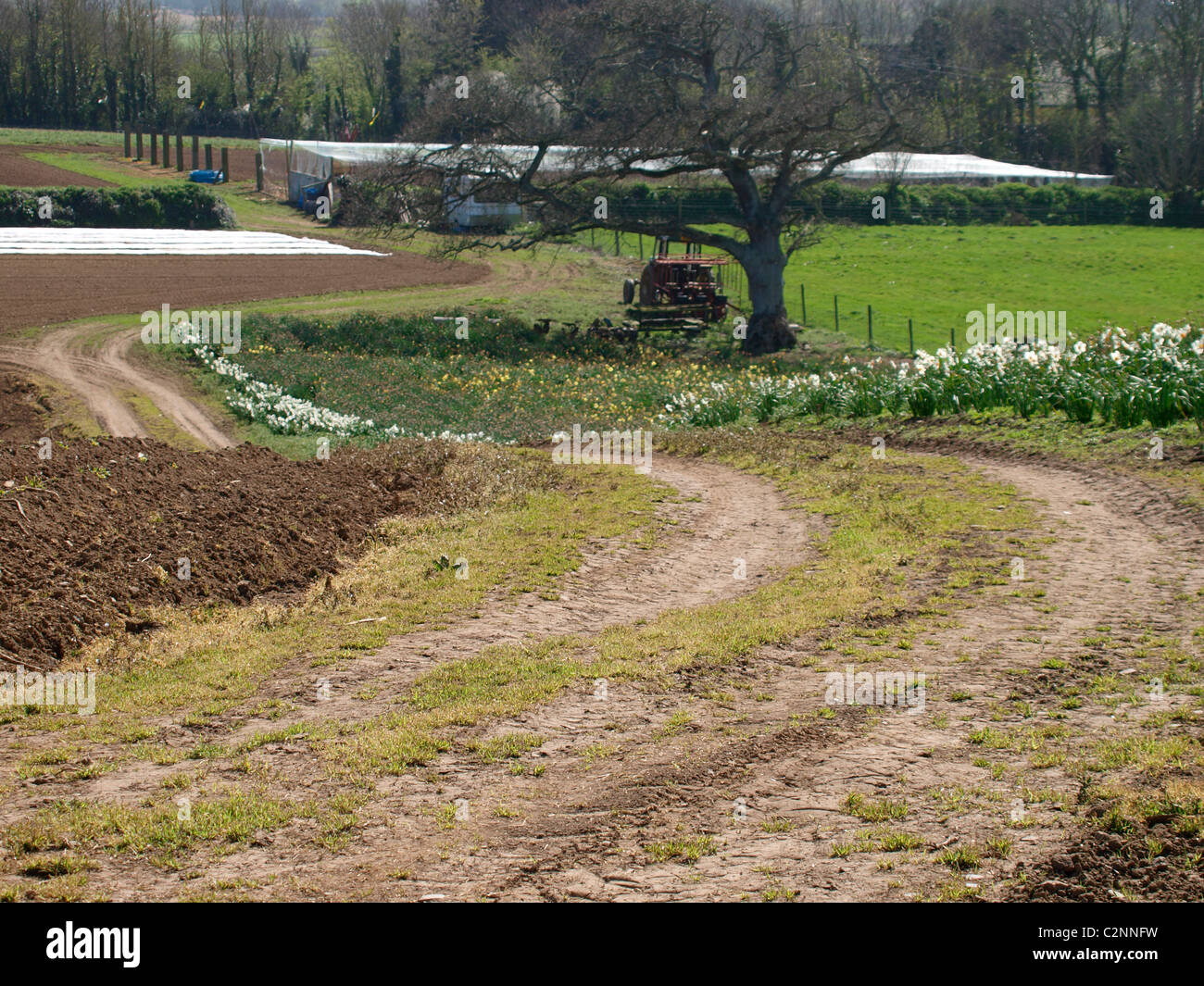 Dirt farm track hi-res stock photography and images - Alamy