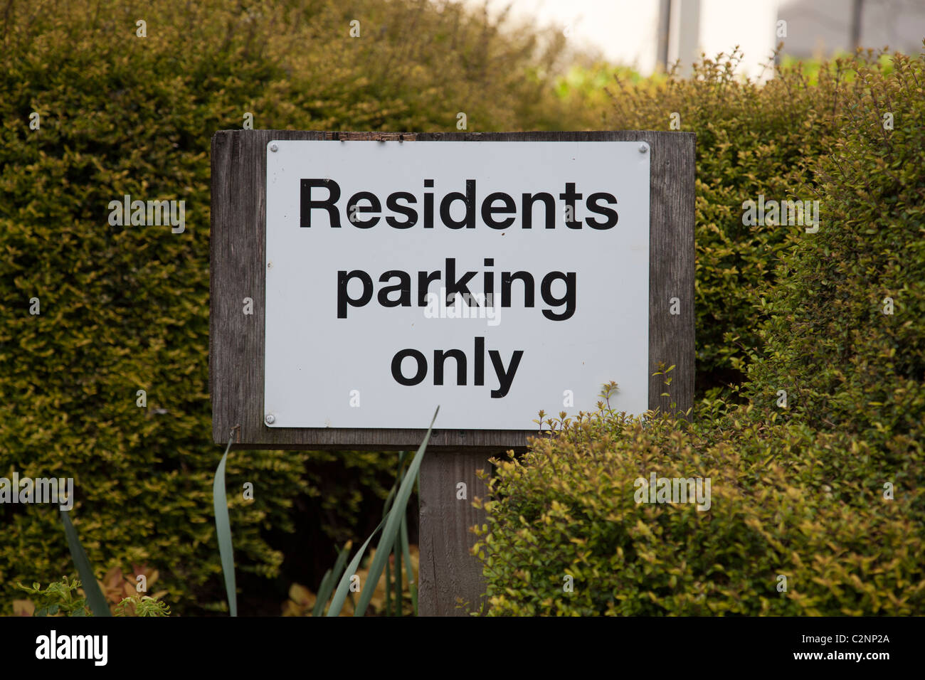 Residents parking only sign in hedge Stock Photo - Alamy