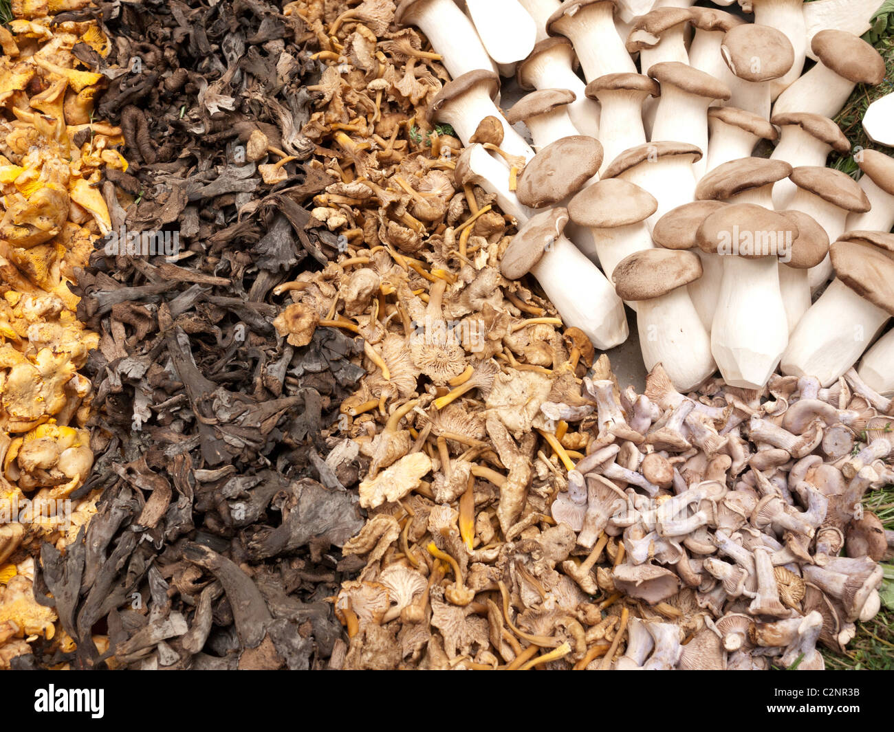 Mushroom selection hi-res stock photography and images - Alamy