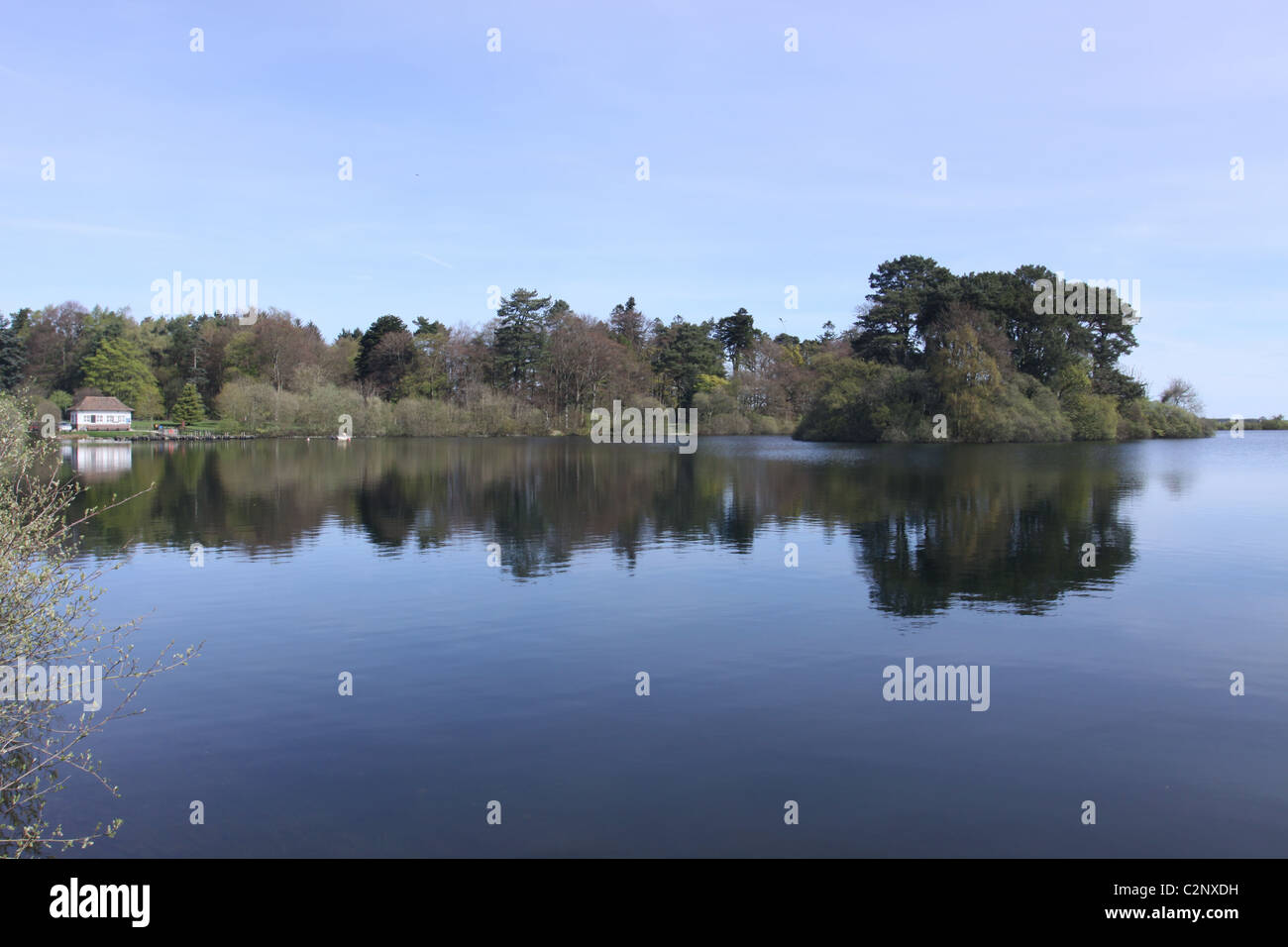 Reservoir in Monikie Country Park Angus Scotland April 2011 Stock Photo ...