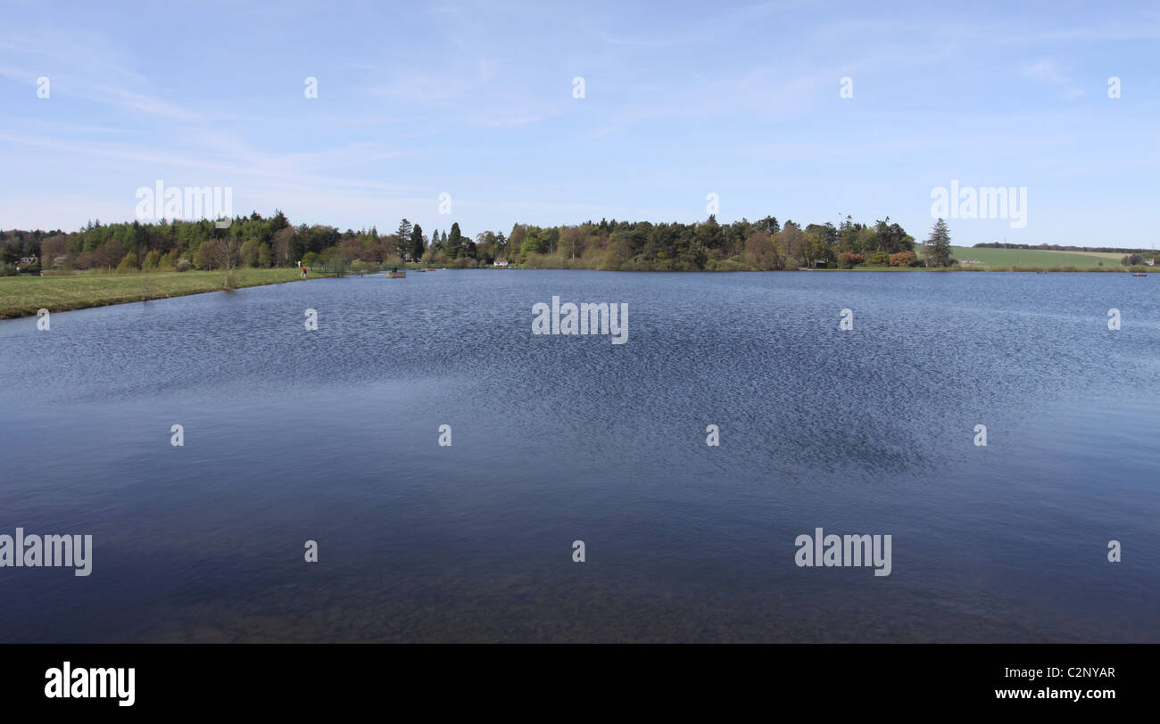 Reservoir in Monikie Country Park Angus Scotland April 2011 Stock Photo ...
