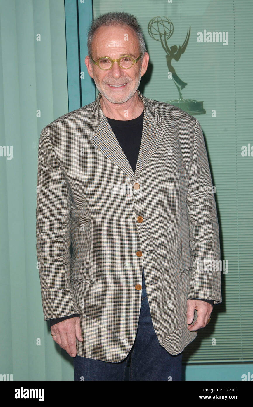 Ron Rifkin A conversation with 'Brothers & Sisters' at the Academy of ...