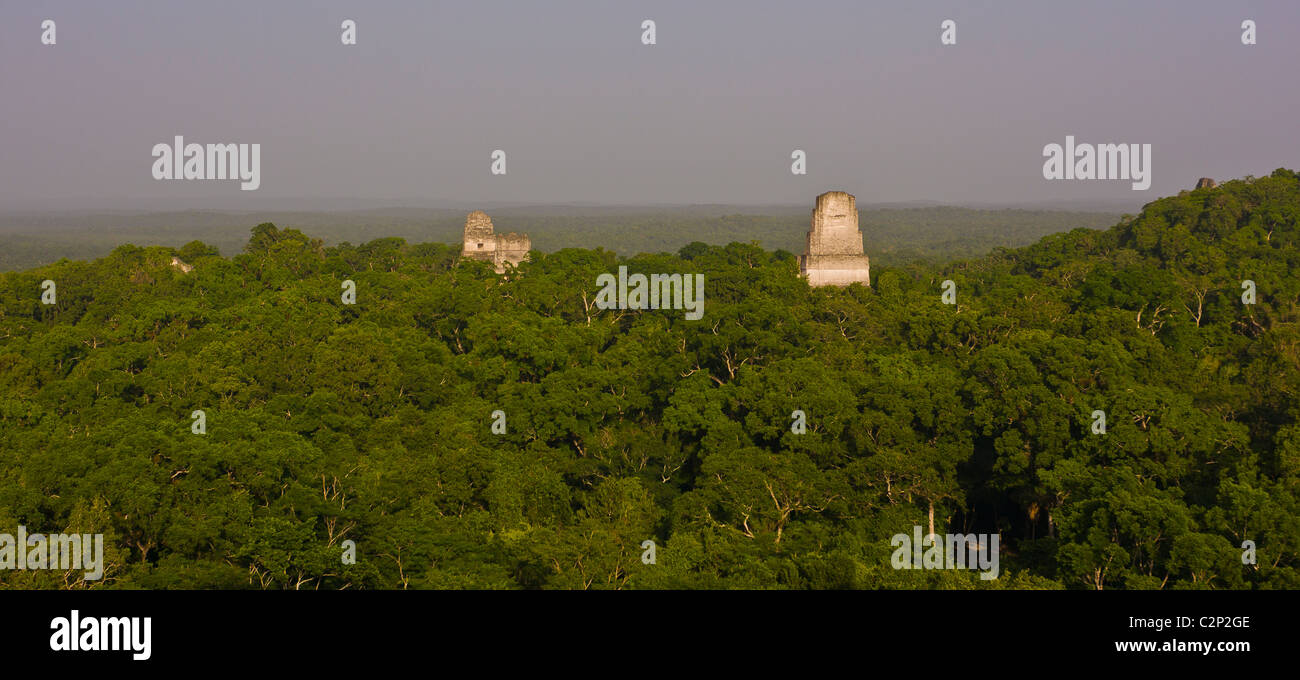 Tikal tree canopy hi-res stock photography and images - Alamy