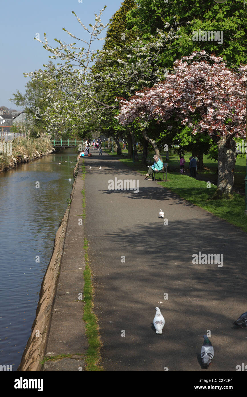 Devon pathway hi-res stock photography and images - Alamy