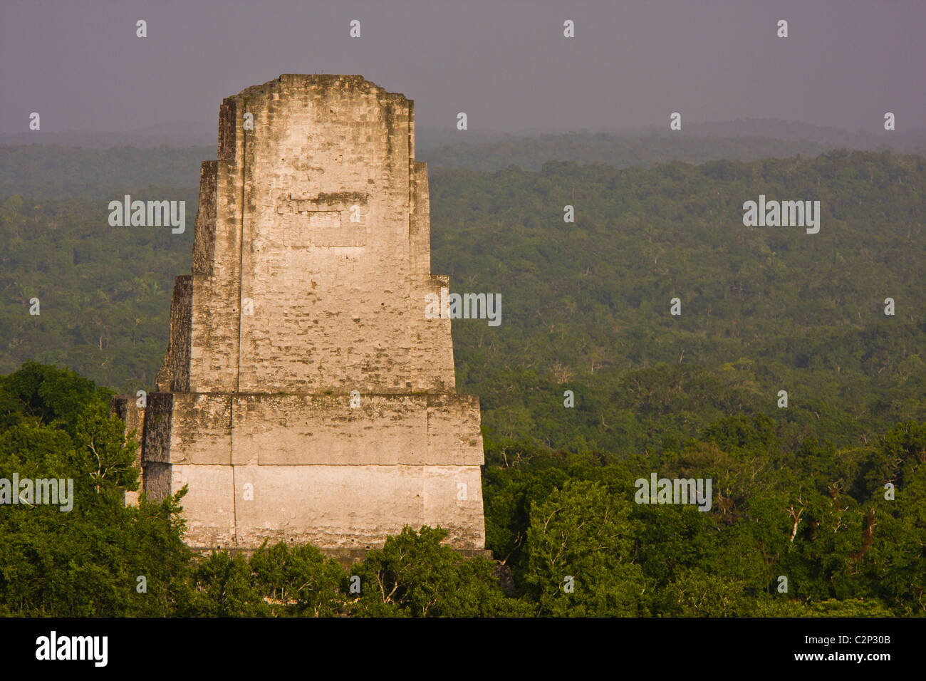 Tikal tree canopy hi-res stock photography and images - Alamy