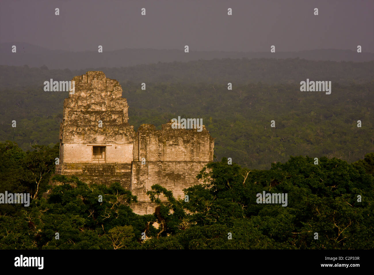 Tikal tree canopy hi-res stock photography and images - Alamy