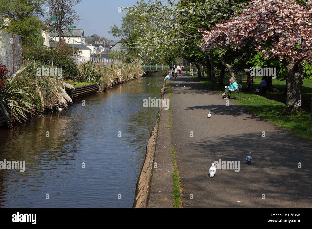 Devon pathway hi-res stock photography and images - Alamy