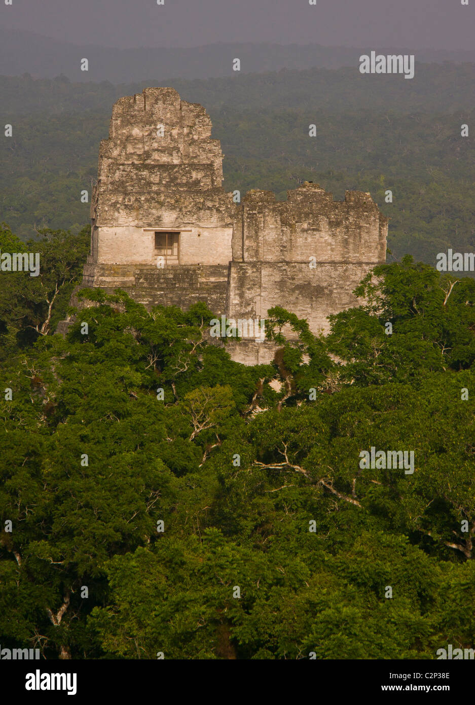 Tikal tree canopy hi-res stock photography and images - Alamy