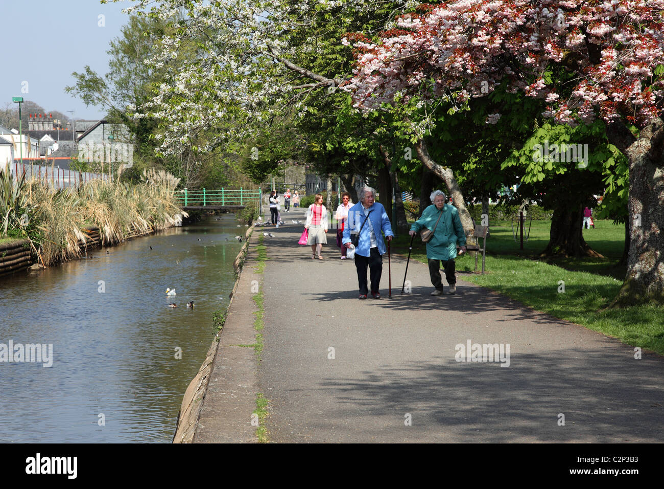 Devon pathway hi-res stock photography and images - Alamy