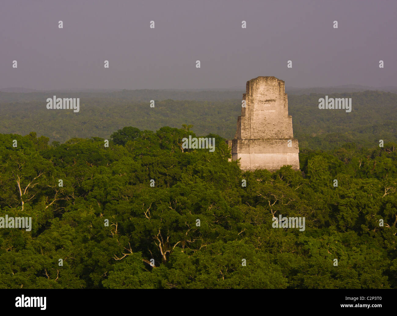 Tikal tree canopy hi-res stock photography and images - Alamy