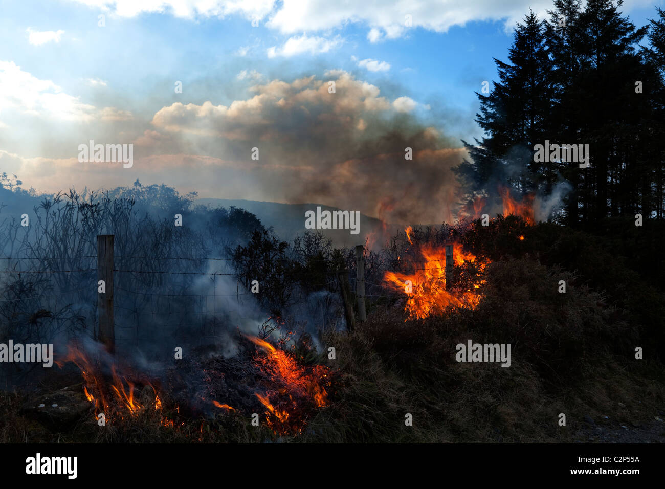 Armagh ireland hi-res stock photography and images - Alamy