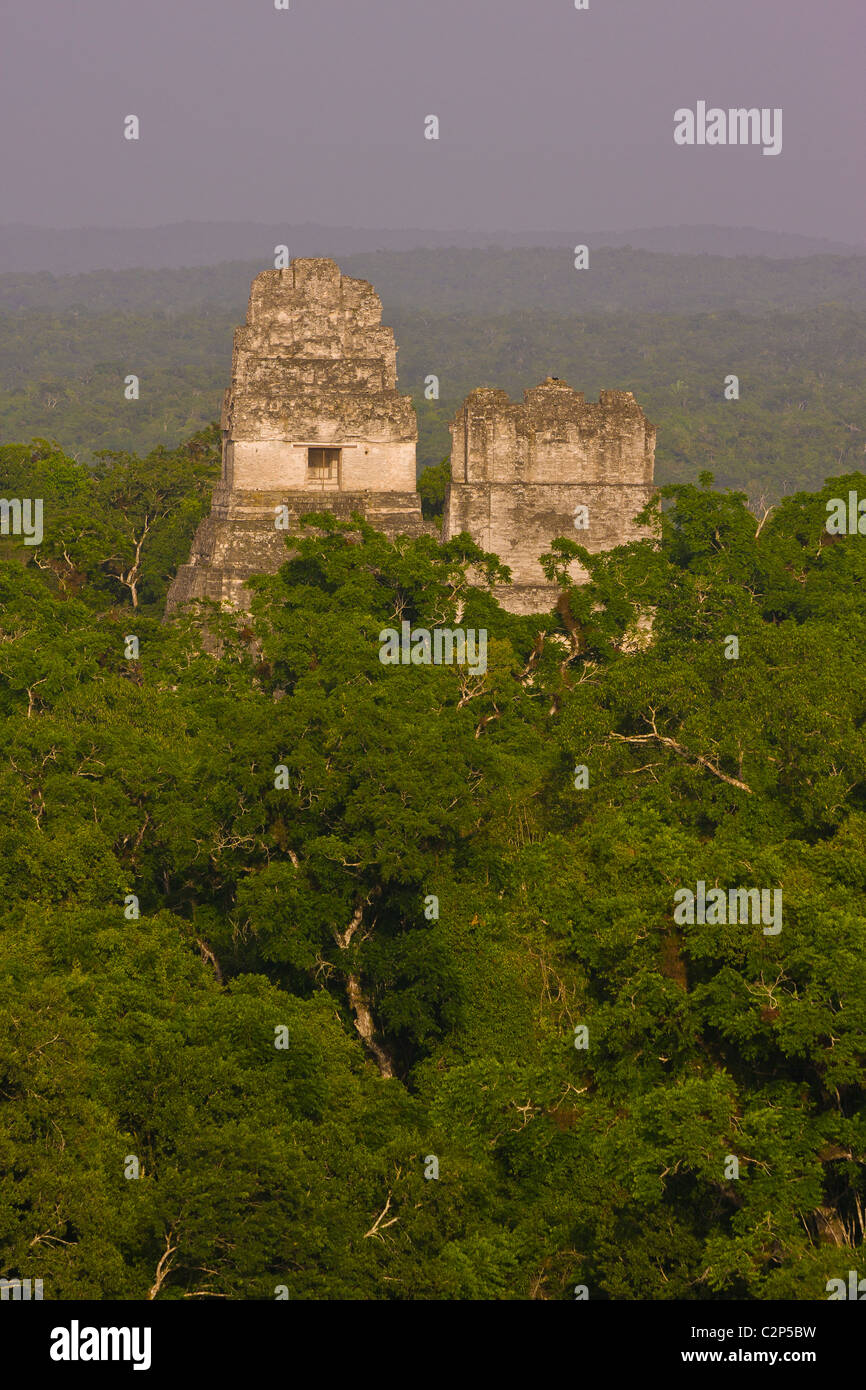 Tikal tree canopy hi-res stock photography and images - Alamy