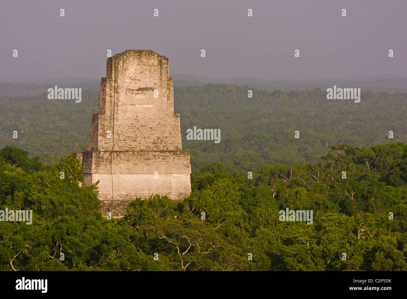 Tikal tree canopy hi-res stock photography and images - Alamy