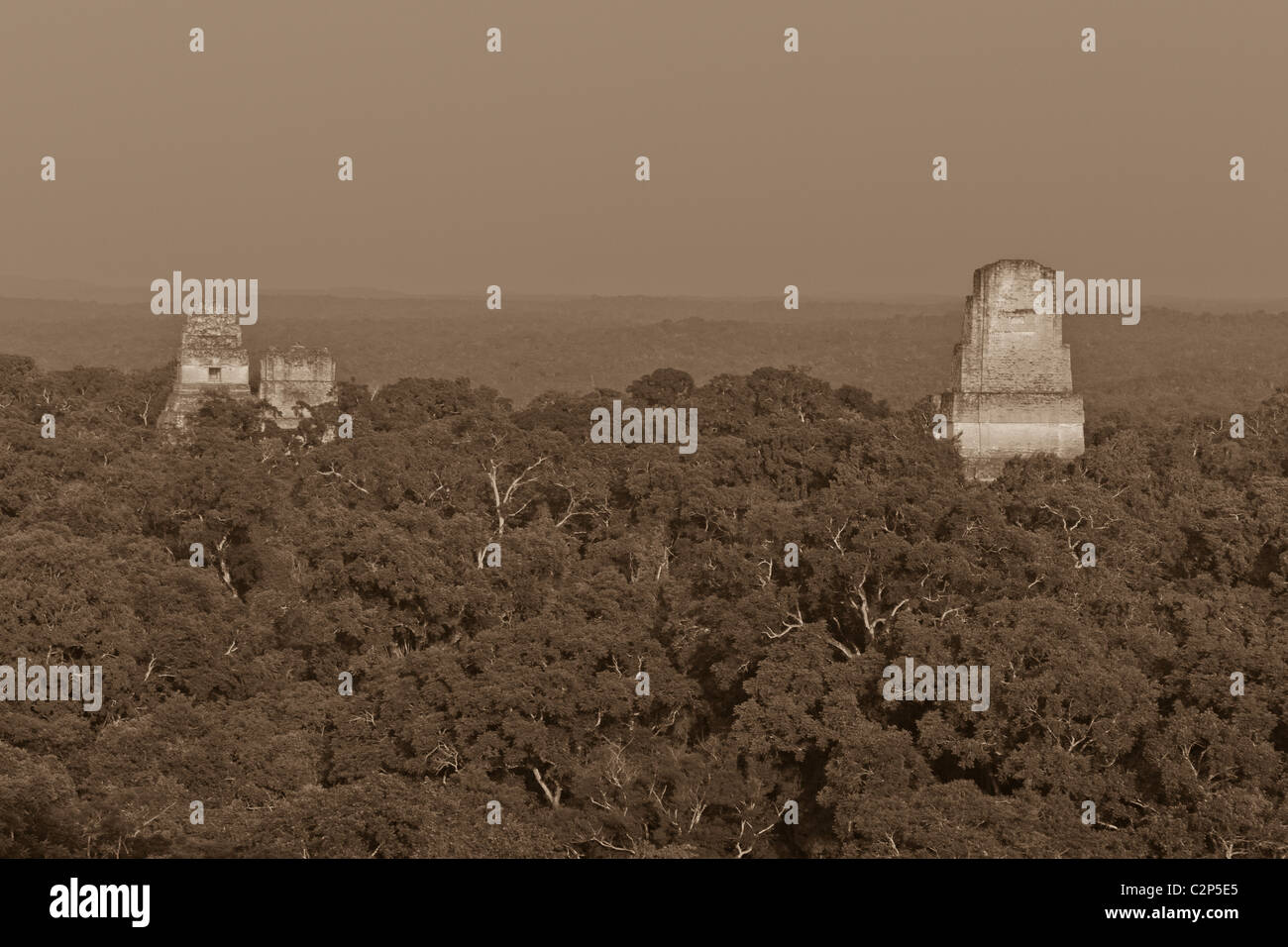 Tikal tree canopy hi-res stock photography and images - Alamy