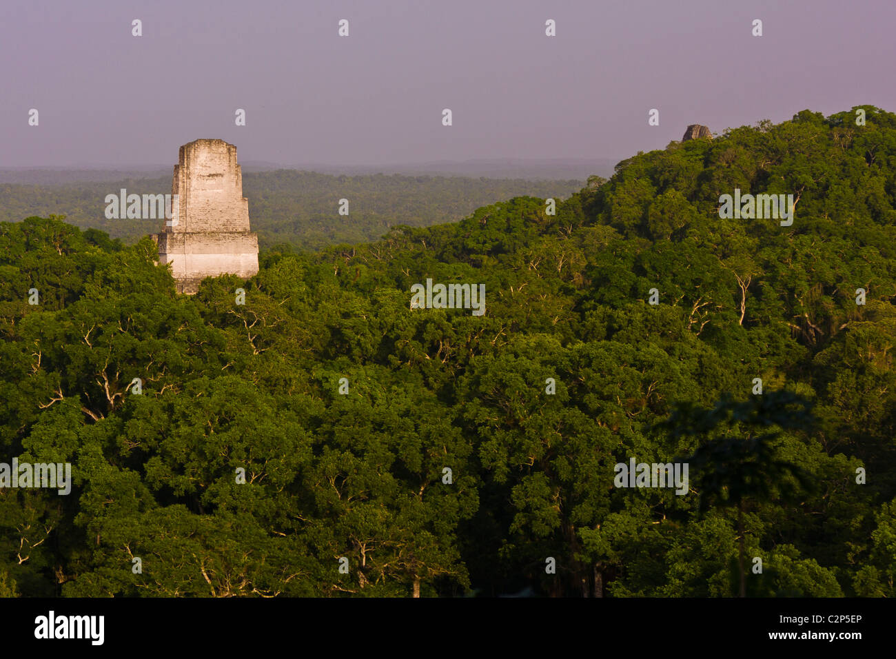 Tikal tree canopy hi-res stock photography and images - Alamy