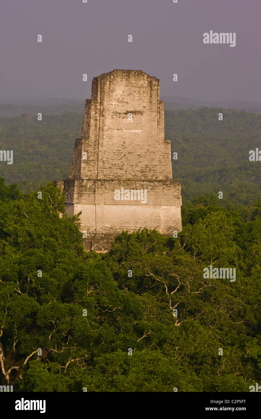 Tikal tree canopy hi-res stock photography and images - Alamy