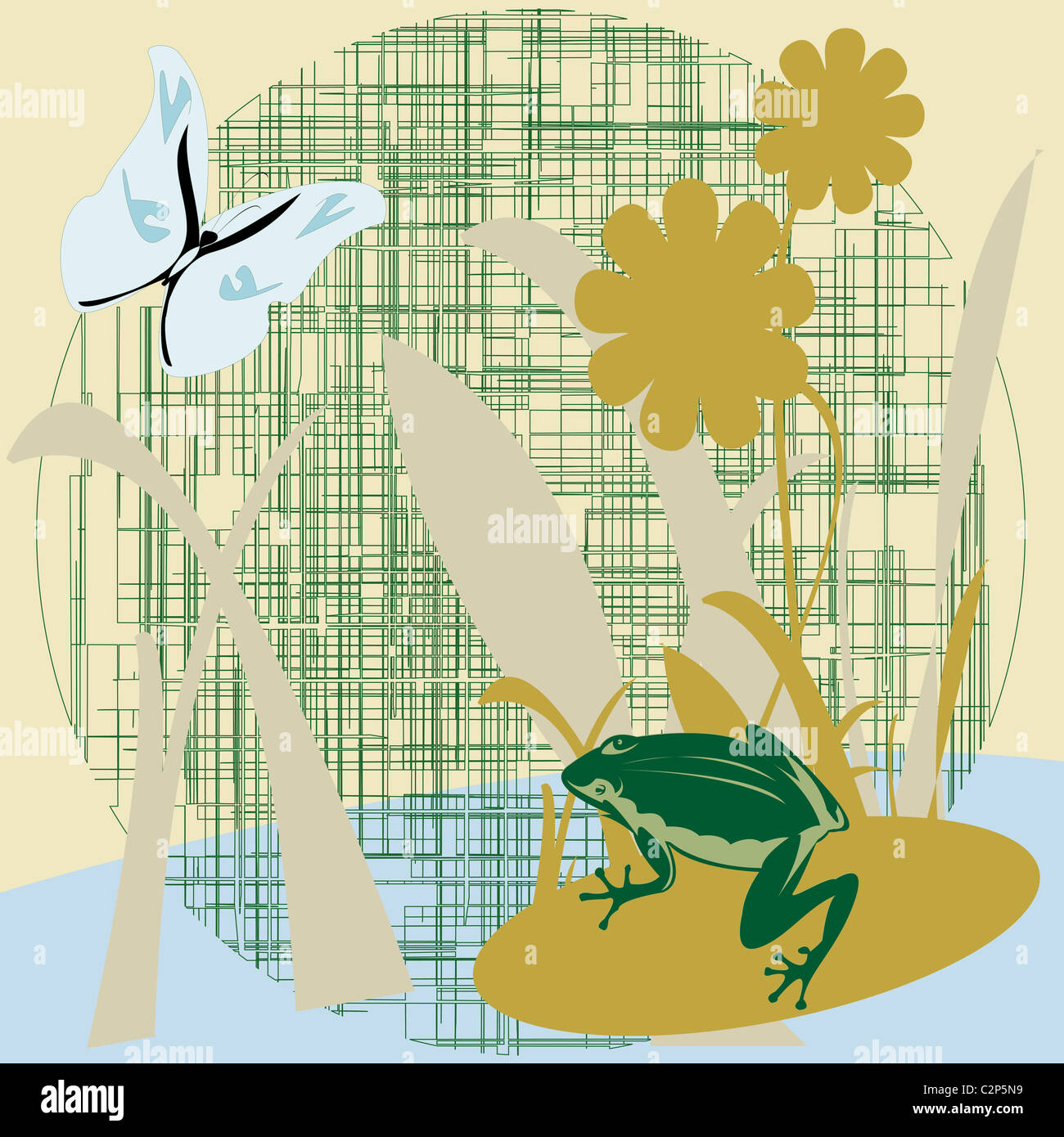 Butterfly frog hi-res stock photography and images - Alamy