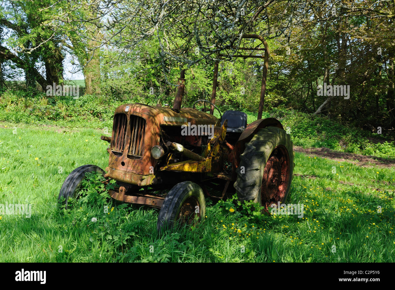 Rusting Nuffield Tractor in a meadow Pembrokeshire Wales Cymru Uk Gb ...