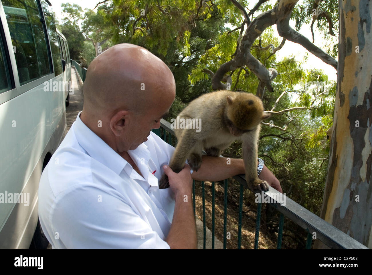 Monkey driver hi-res stock photography and images - Alamy