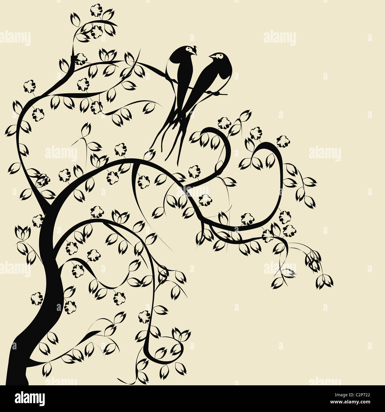 Unusual tree limb hi-res stock photography and images - Alamy