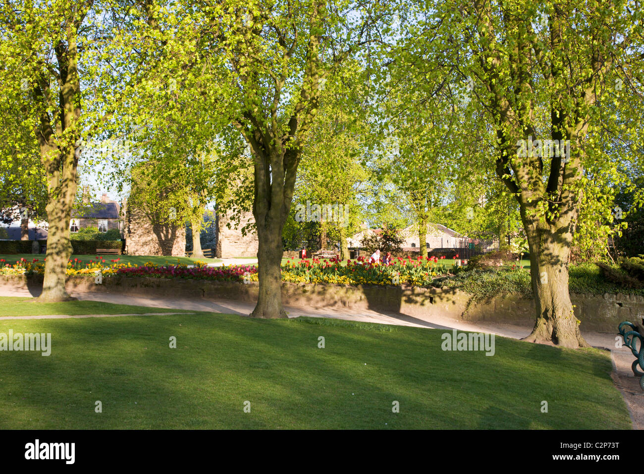 Knaresborough Castle in Spring Knaresborough North Yorkshire England ...