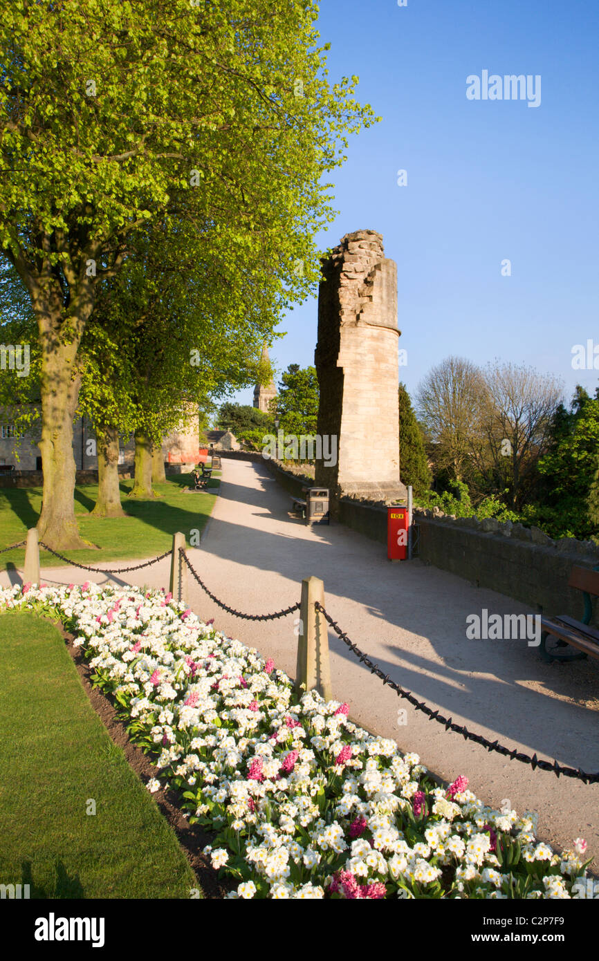 Knaresborough Castle in Spring Knaresborough North Yorkshire England ...