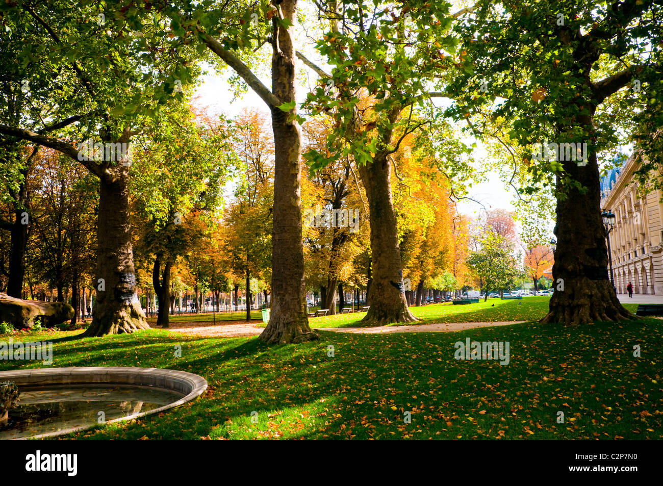 Low setting sun in green park casting long shadows Stock Photo - Alamy