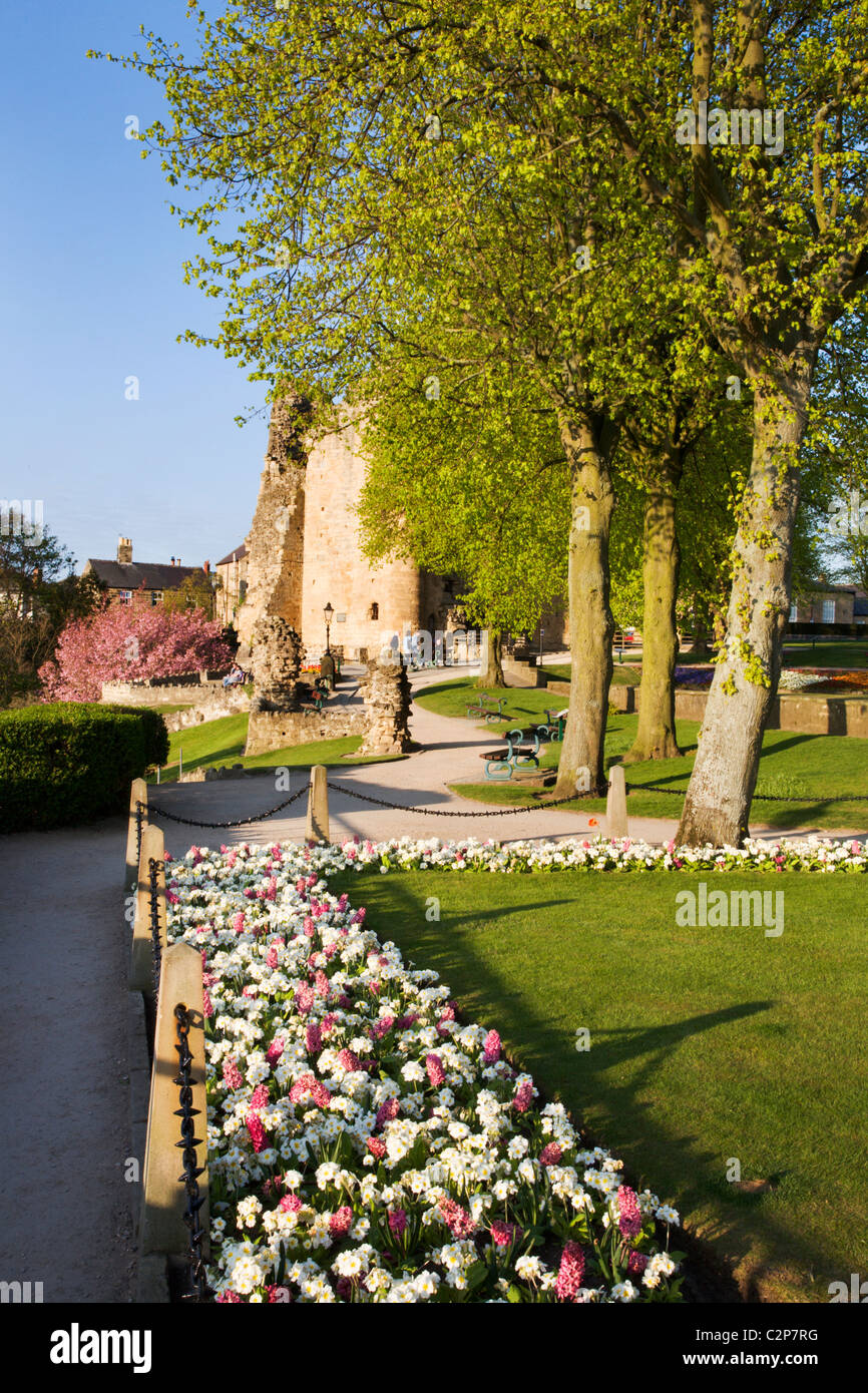 Knaresborough Castle in Spring Knaresborough North Yorkshire England ...