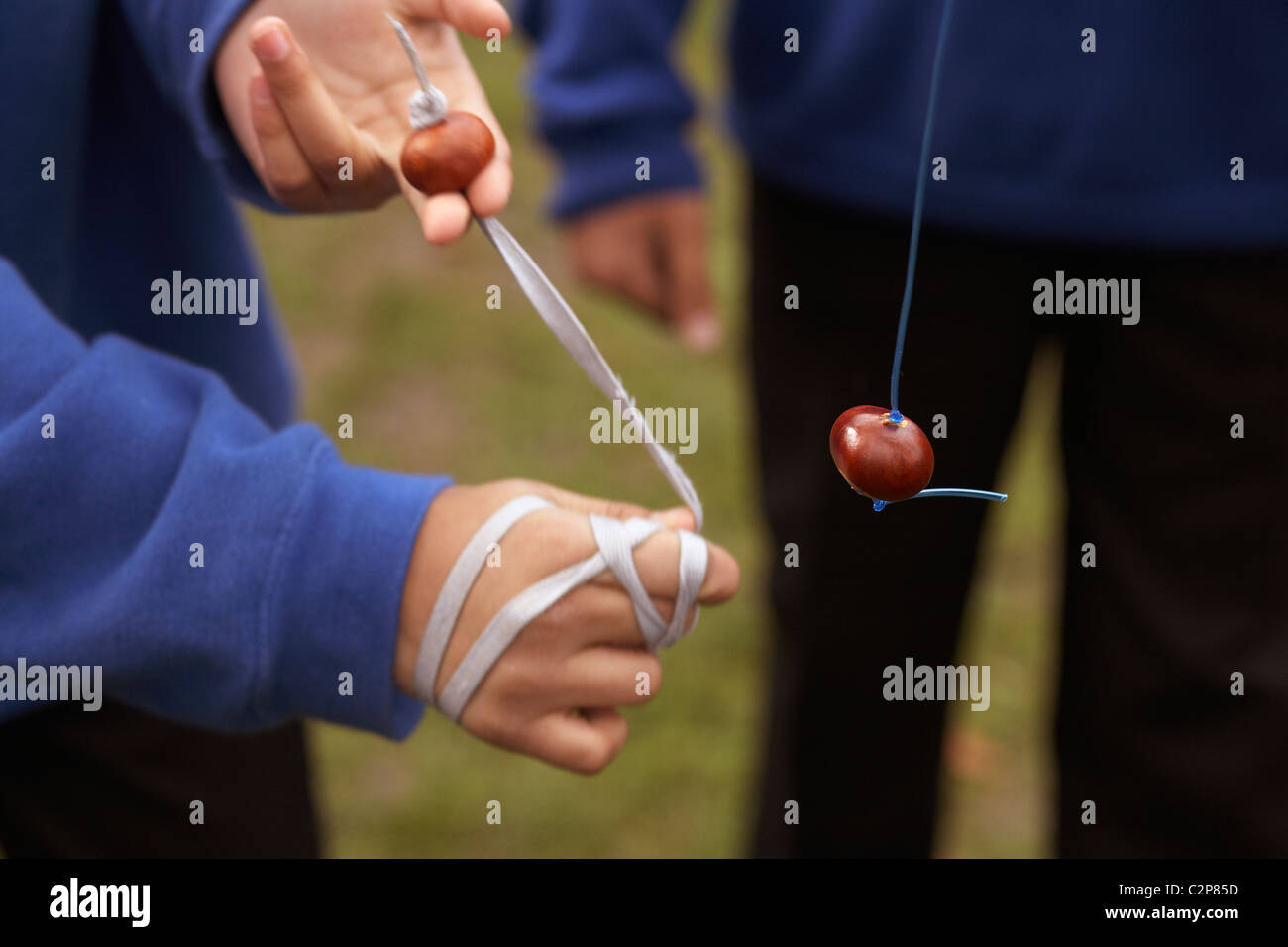 Two conkers on string hi-res stock photography and images - Alamy