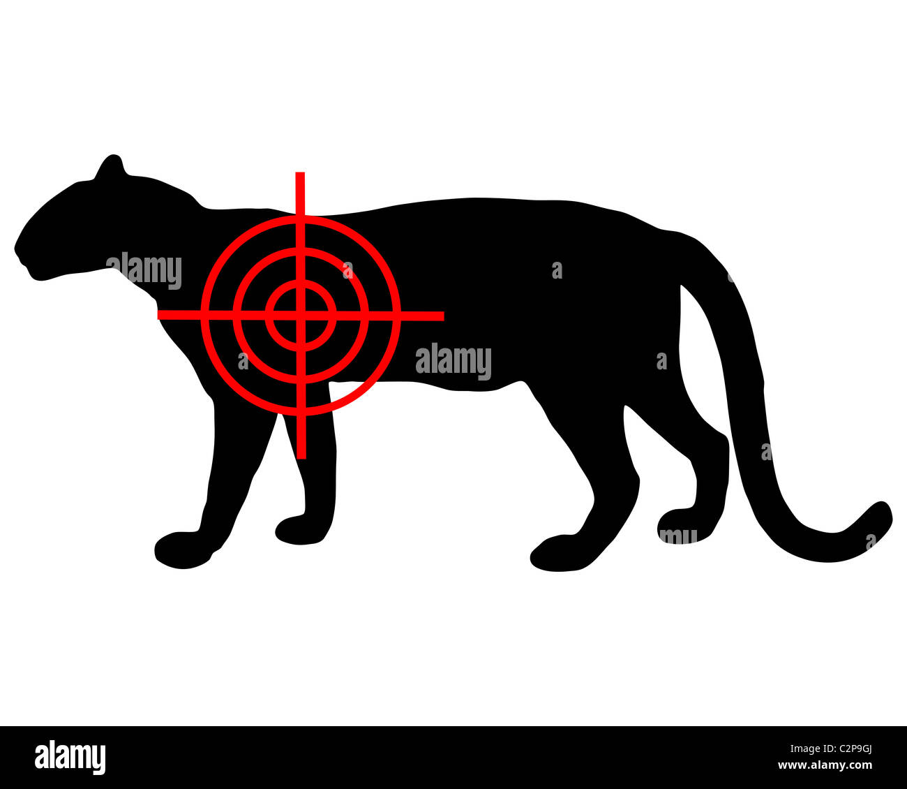 Black leopard panthera pardus leopard Cut Out Stock Images & Pictures ...