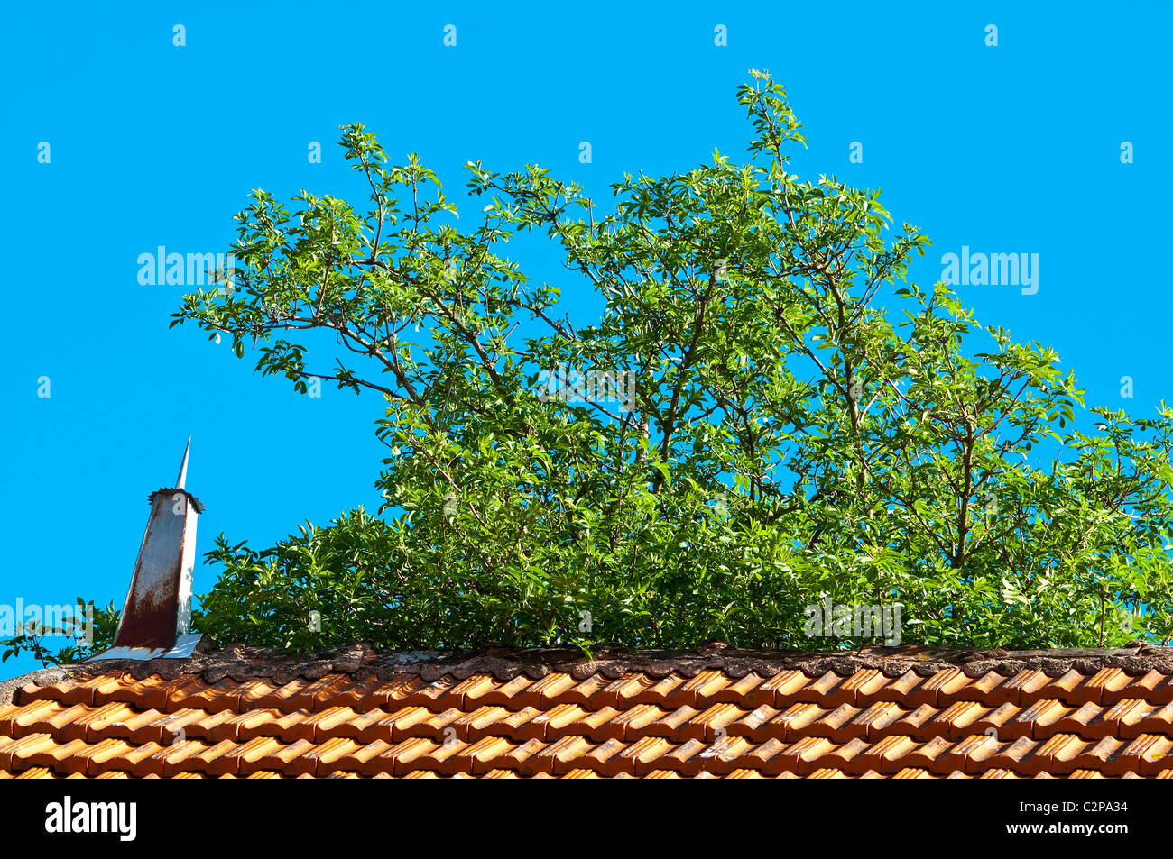 Overhanging roof hi-res stock photography and images - Alamy