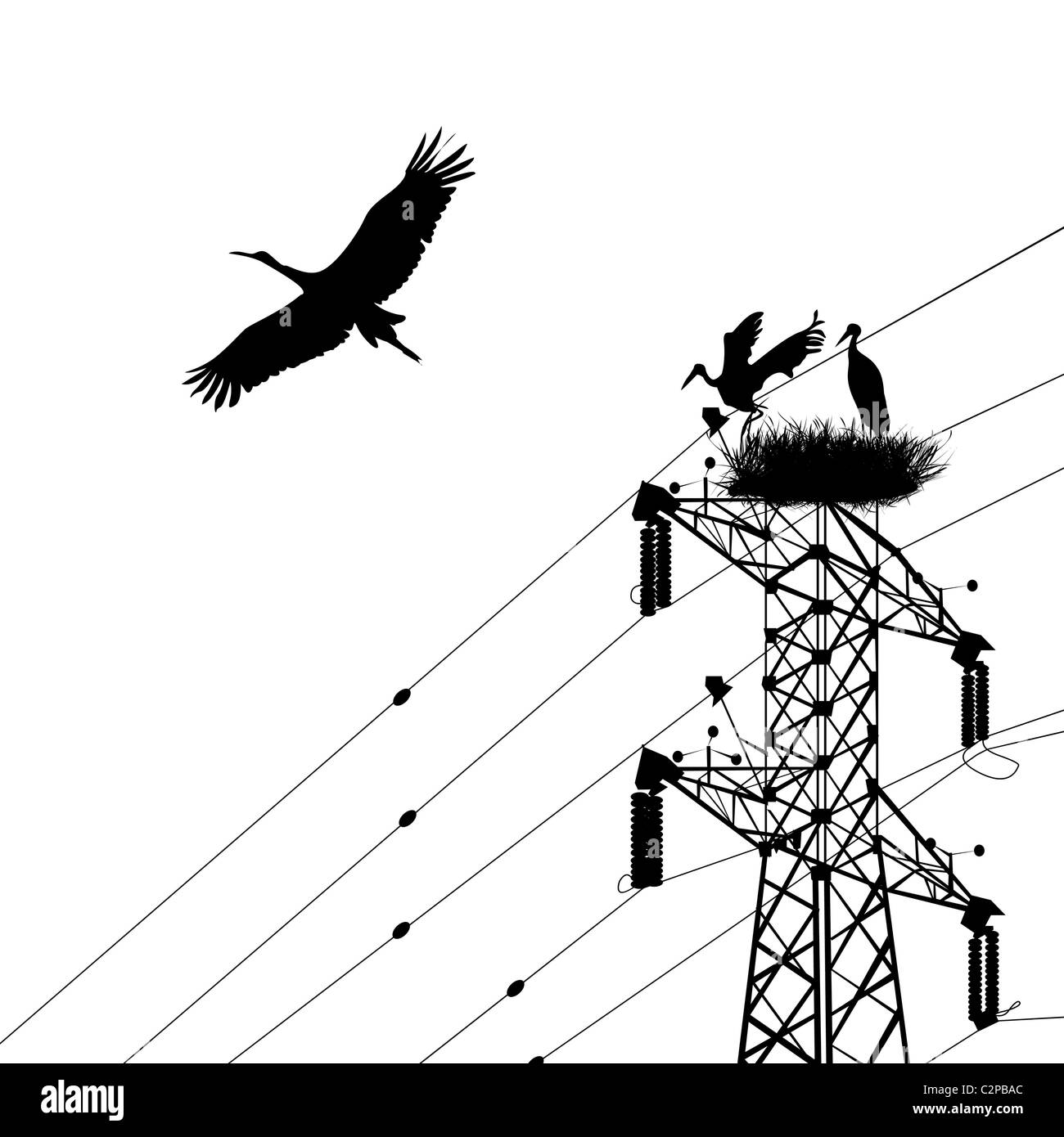 Stork nest Black and White Stock Photos & Images - Alamy