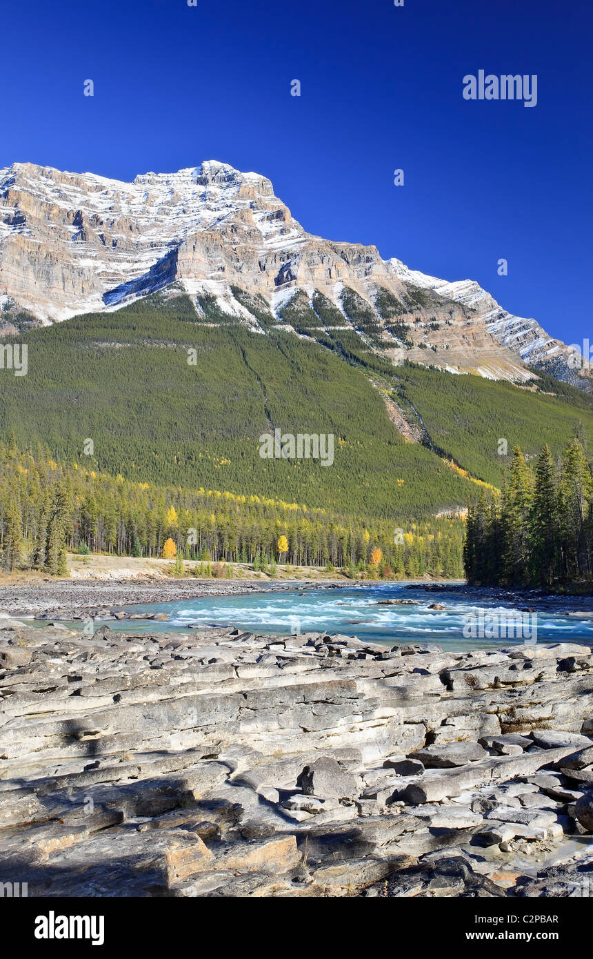 Athabasca River, Jasper National Park, Alberta, Canada Stock Photo - Alamy