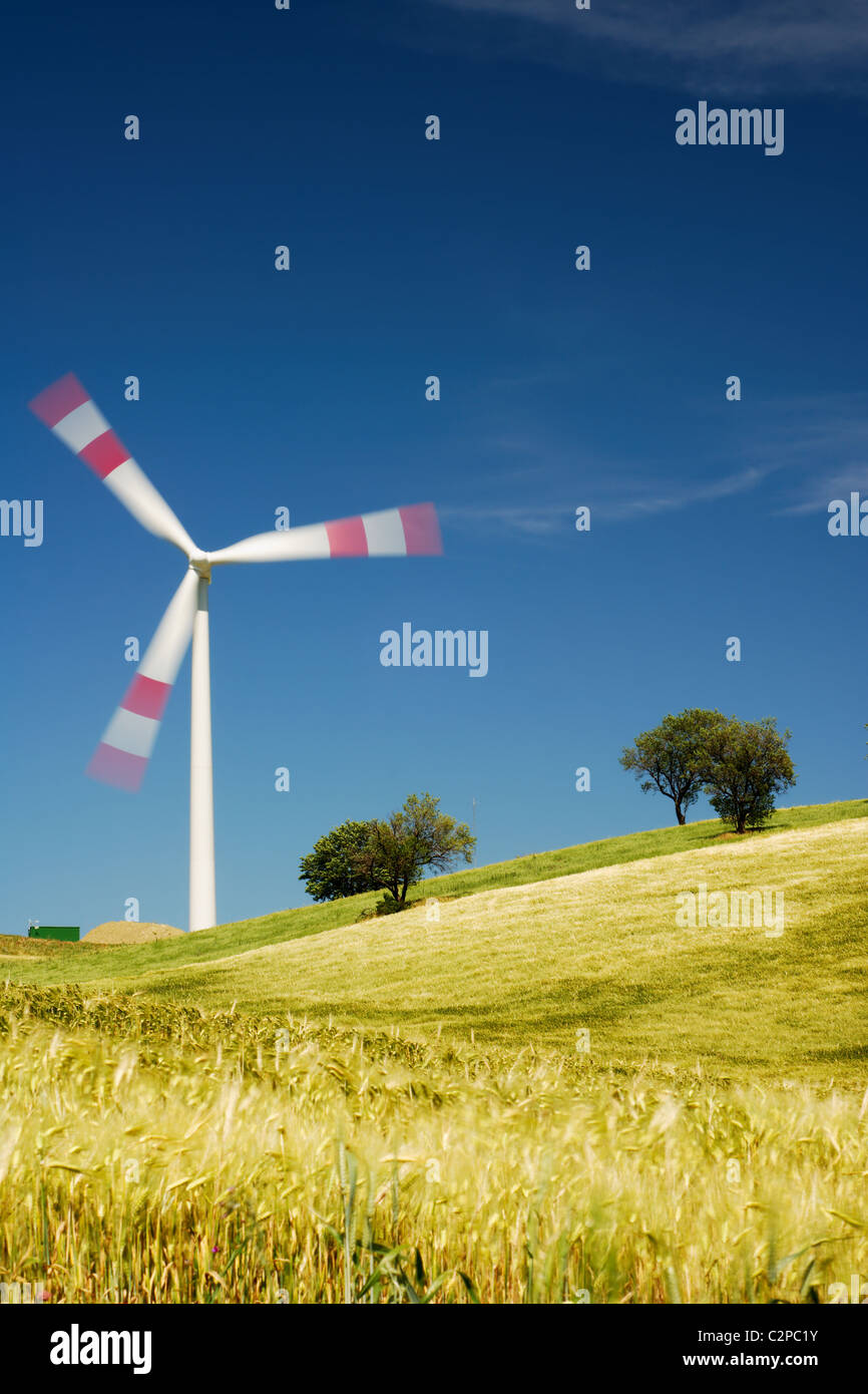 Wind turbine trees hi-res stock photography and images - Alamy