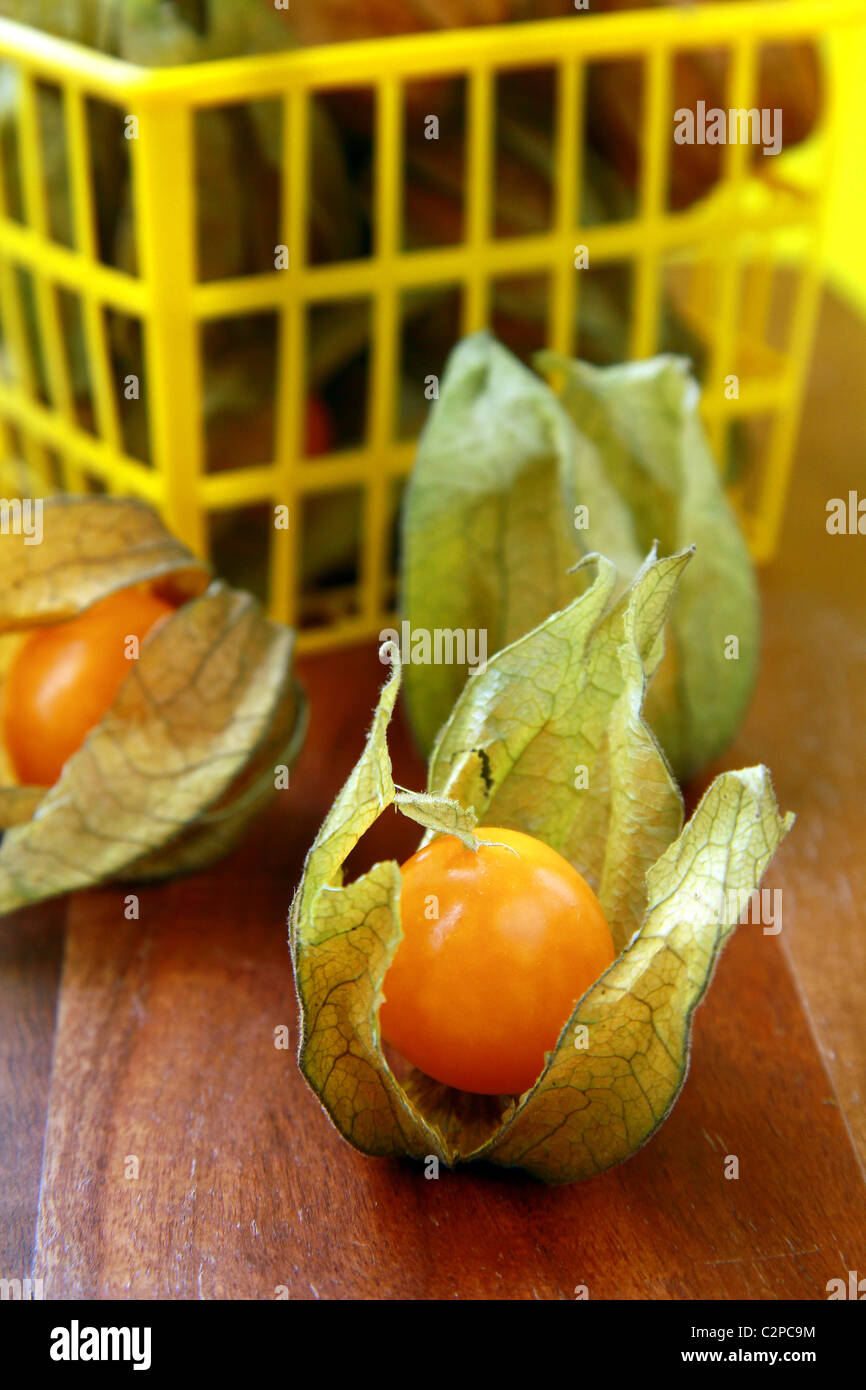 Yellow groundcherry hi-res stock photography and images - Alamy