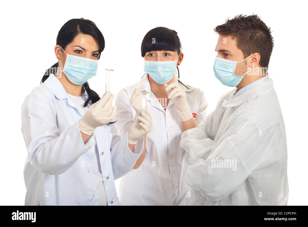 Group of scientist people having a discussion and examine new plants in ...