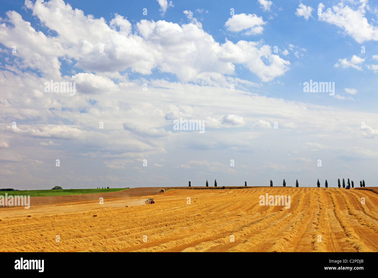 Agricultural landscape, machinery harvesting wheat, Europe Stock Photo ...