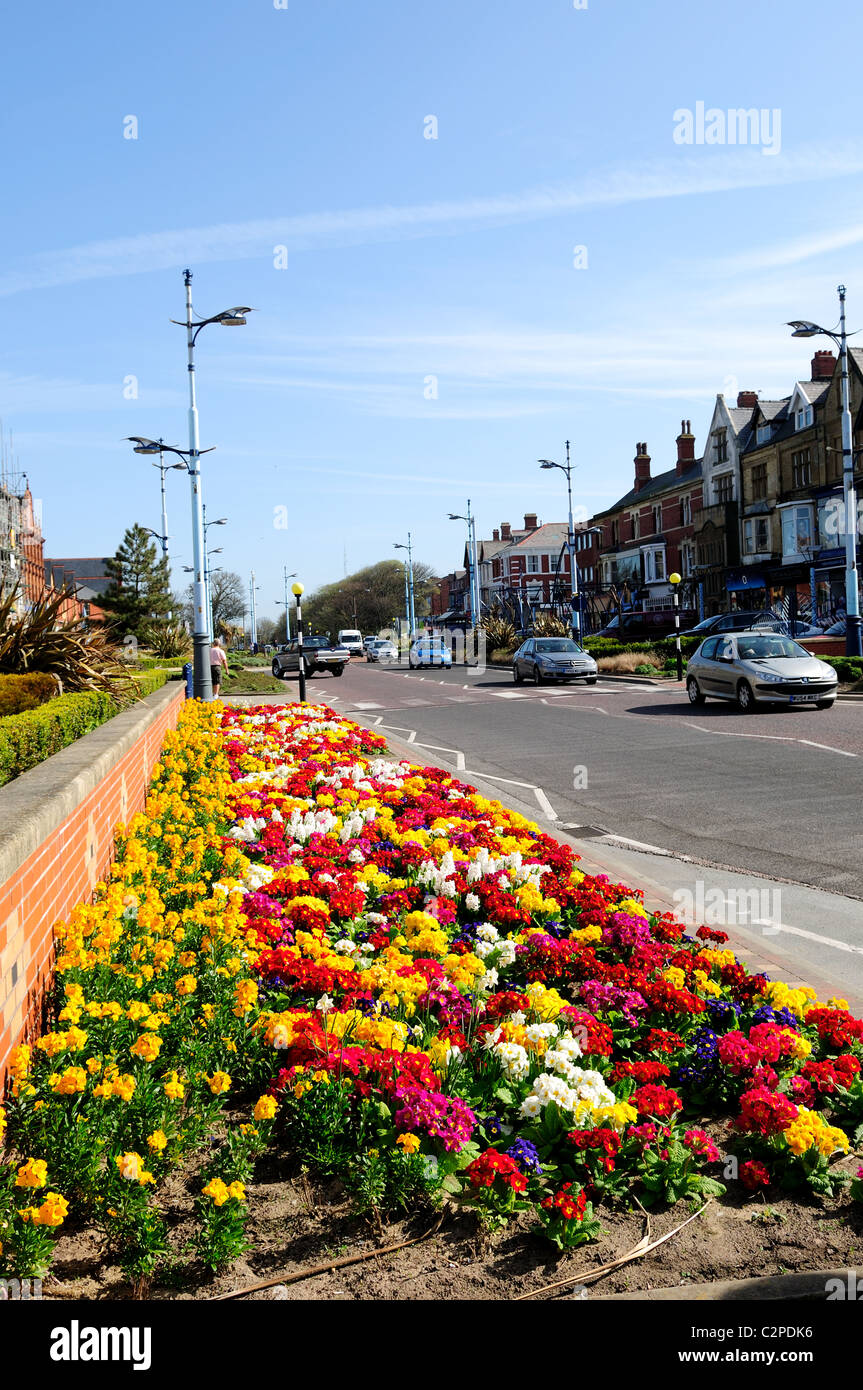 Lytham St Annes Lancashire England.Flowerbeds In Spring Stock Photo - Alamy