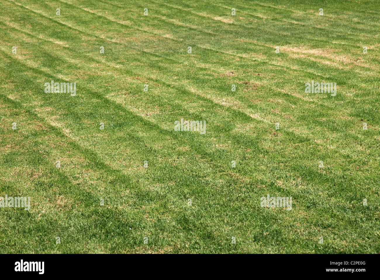 Green lawn as background or backdrop Stock Photo - Alamy