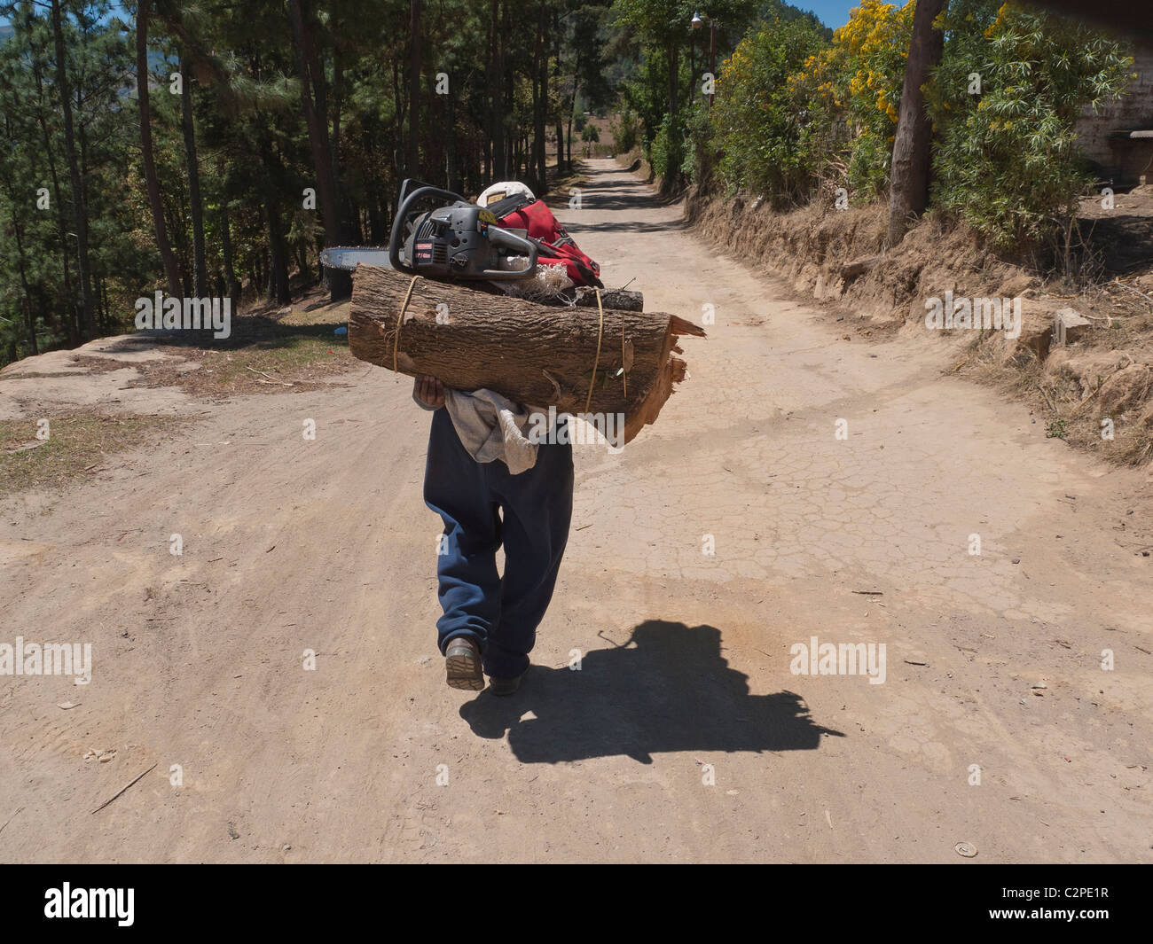 Man working carrying firewood hi-res stock photography and images - Alamy