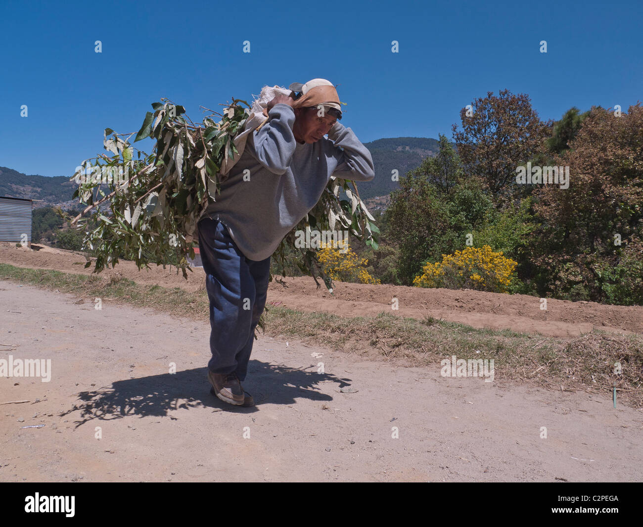 A man carrying an older man on his back hi-res stock photography and ...