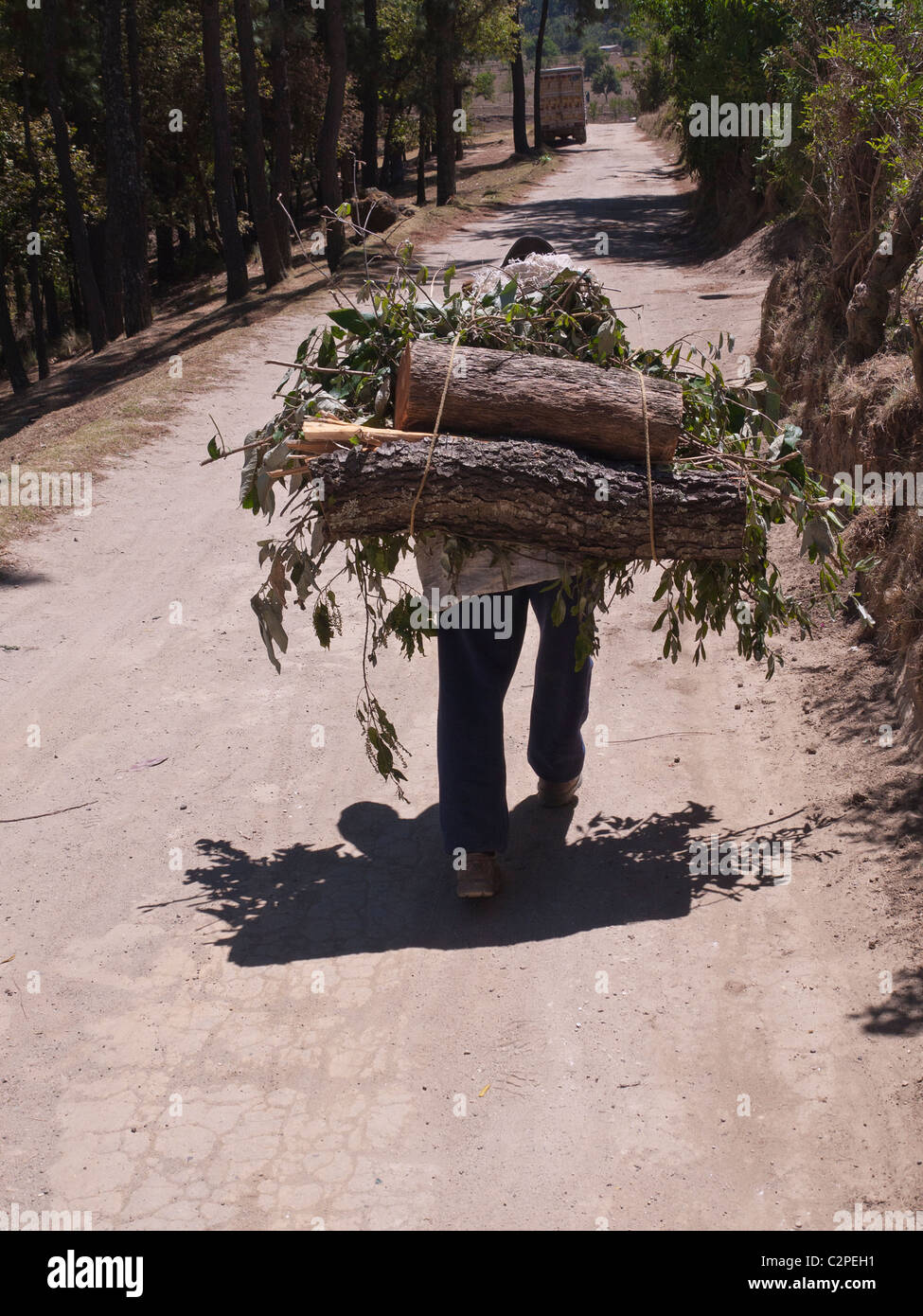 A man carrying an older man on his back hi-res stock photography and ...