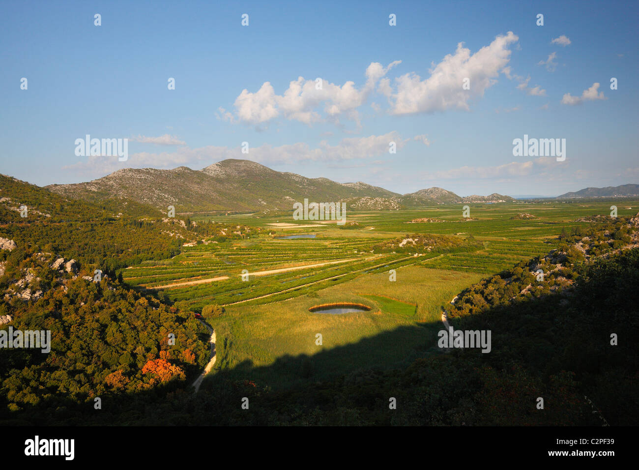 Spring valley vitamin hi-res stock photography and images - Alamy