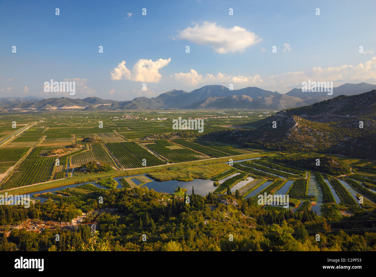 Tangerine fields in Neretva valley Stock Photo - Alamy