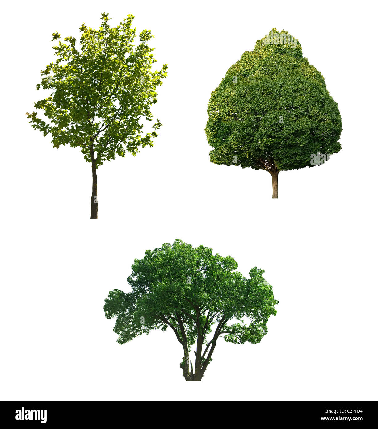 Three trees Cut Out Stock Images & Pictures - Alamy