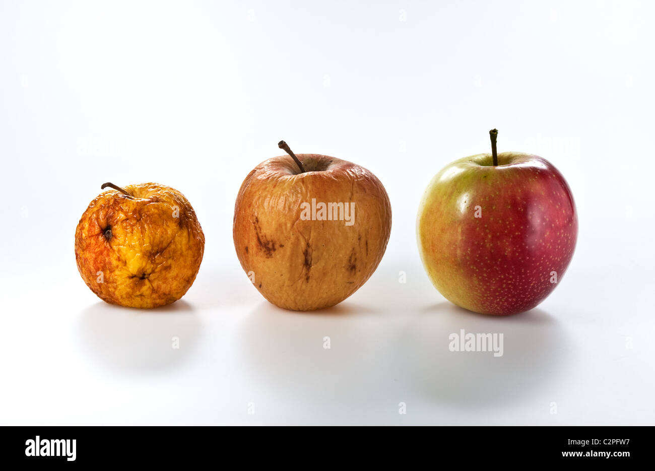 Stages of aging hi-res stock photography and images - Alamy