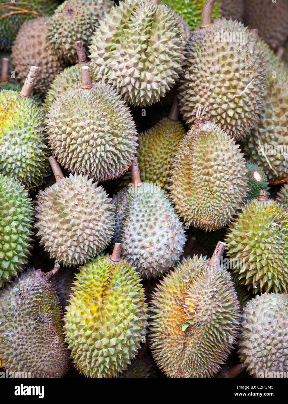The big durian hi-res stock photography and images - Alamy