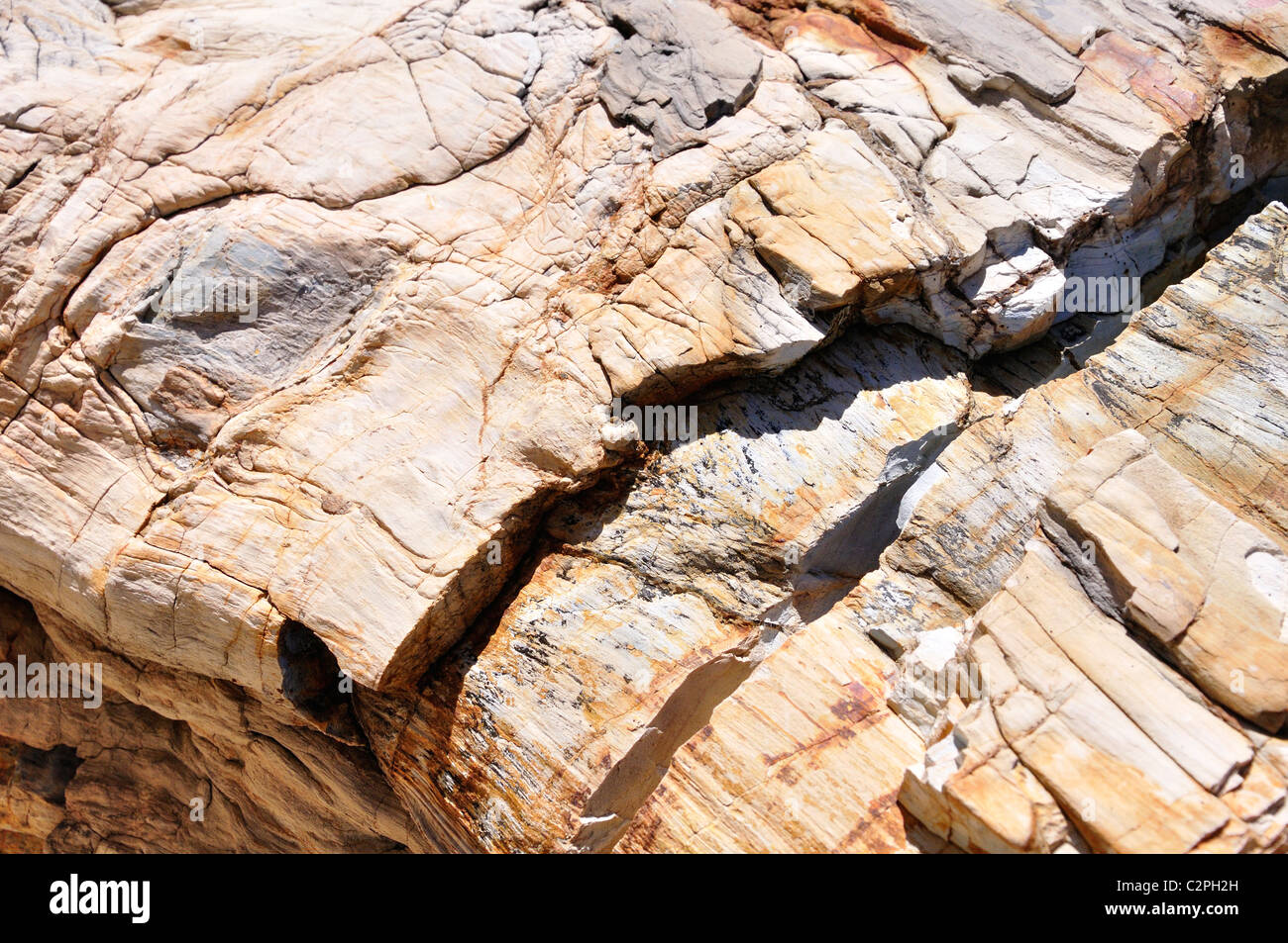 Petrified rose hi-res stock photography and images - Alamy